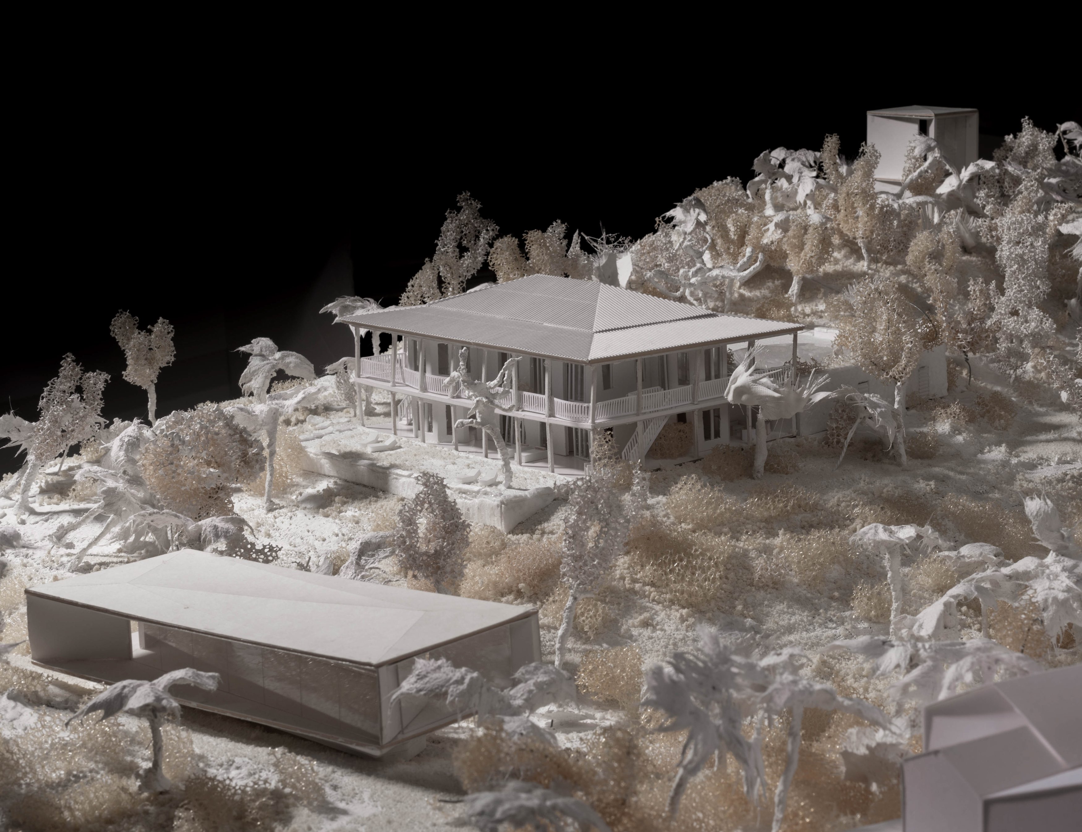 Pink Sand Pavilion & Tower ← Projects ← Gianni Botsford Architects