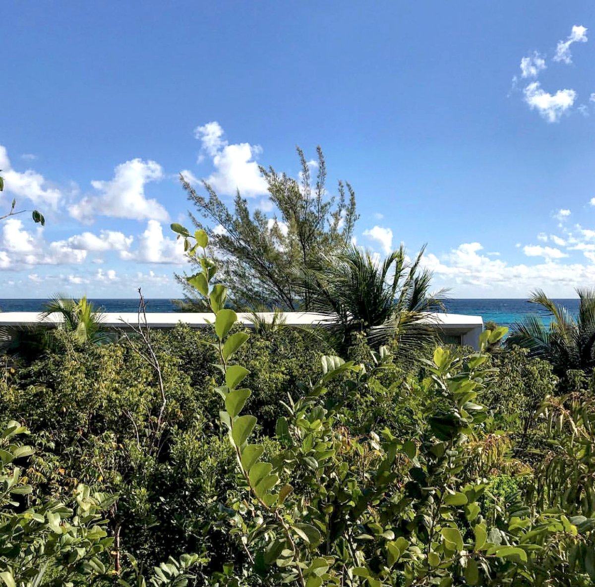 Pink Sand Pavilion & Tower ← Projects ← Gianni Botsford Architects