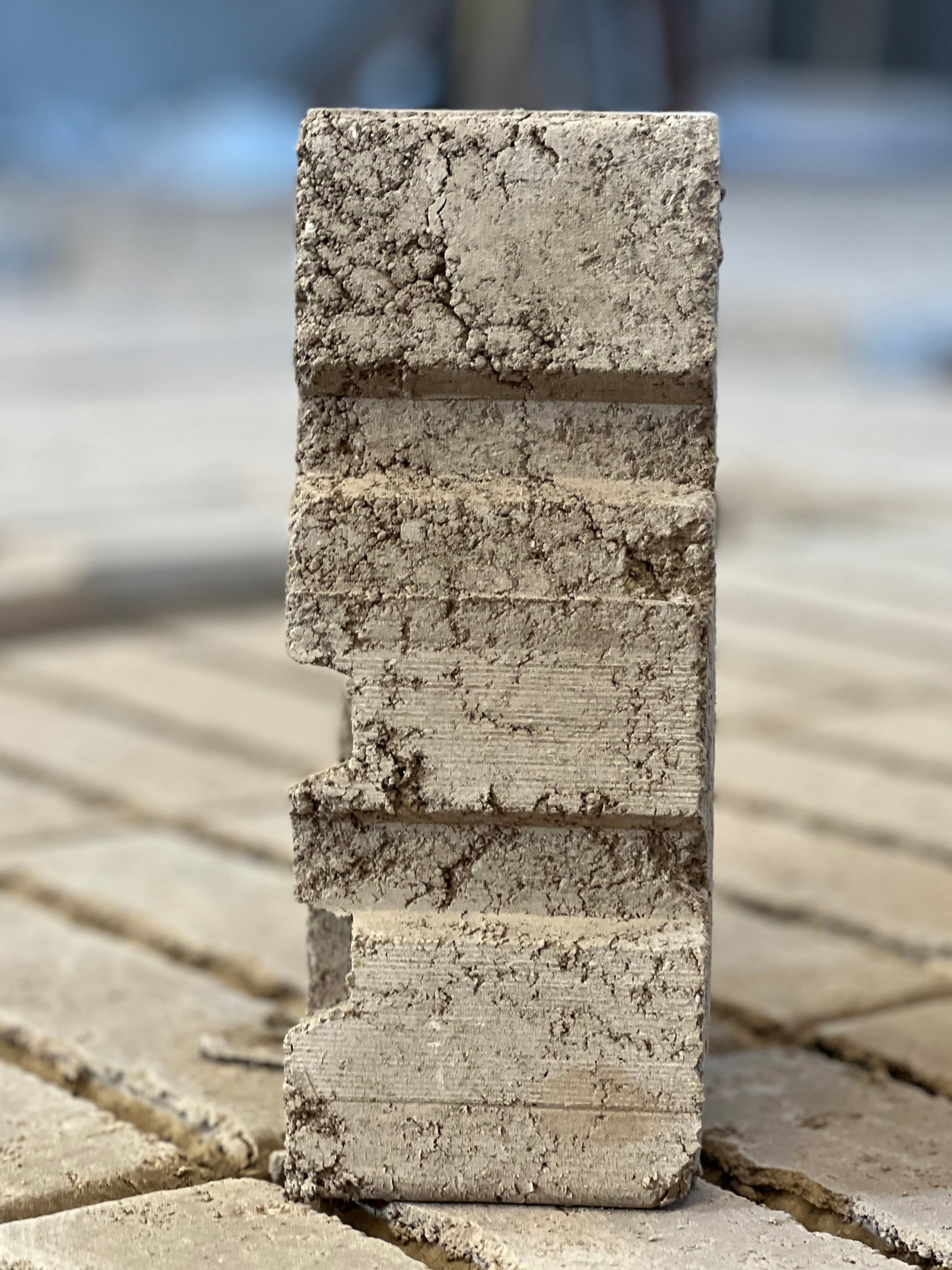 Sustainable Low Cost CEB Dwellings ← Projects ← Gianni Botsford Architects