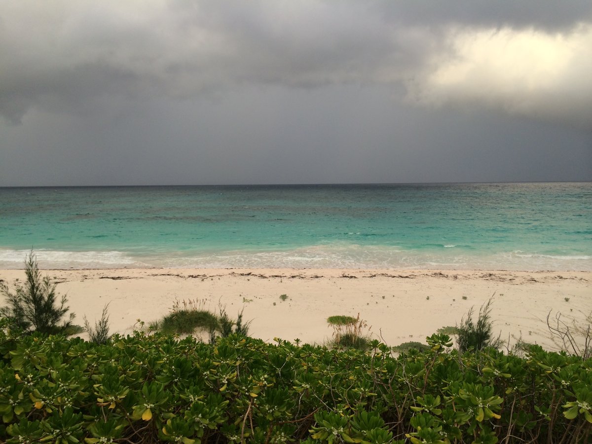 Pink Sand Pavilion & Tower ← Projects ← Gianni Botsford Architects