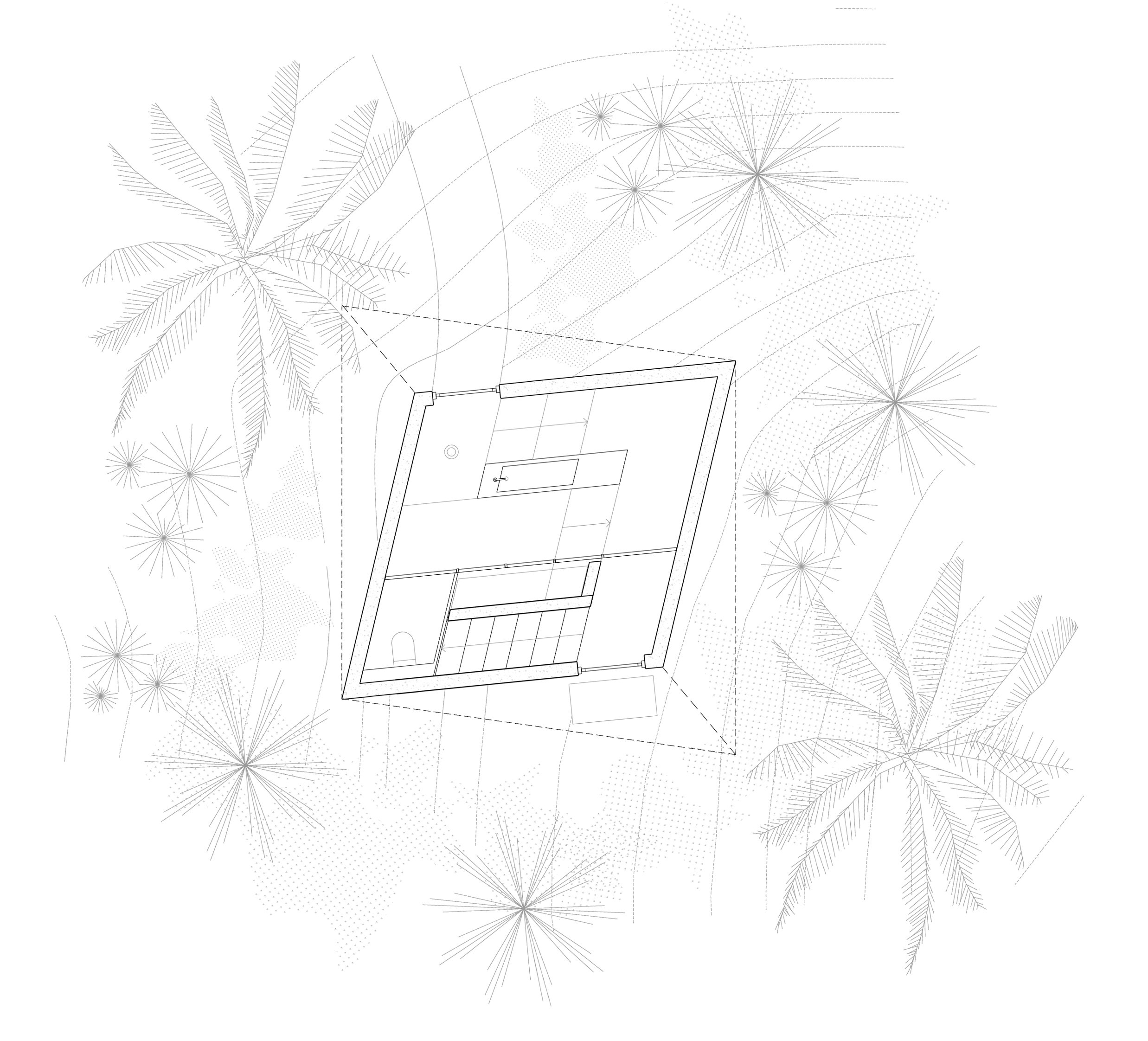 Pink Sand Pavilion & Tower ← Projects ← Gianni Botsford Architects