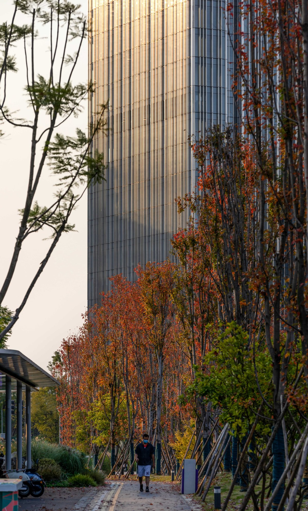 Oppo Technology & Research Centre Tower ← Projects ← Gianni Botsford ...